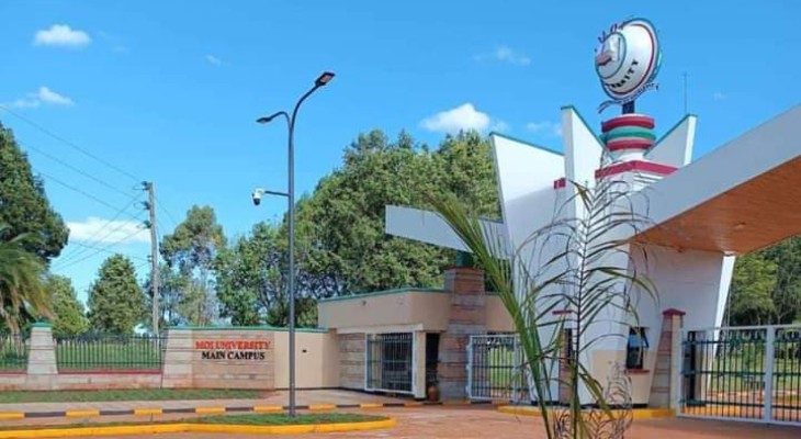 Netizens slam Moi University after sharing photos of a gate launching ...